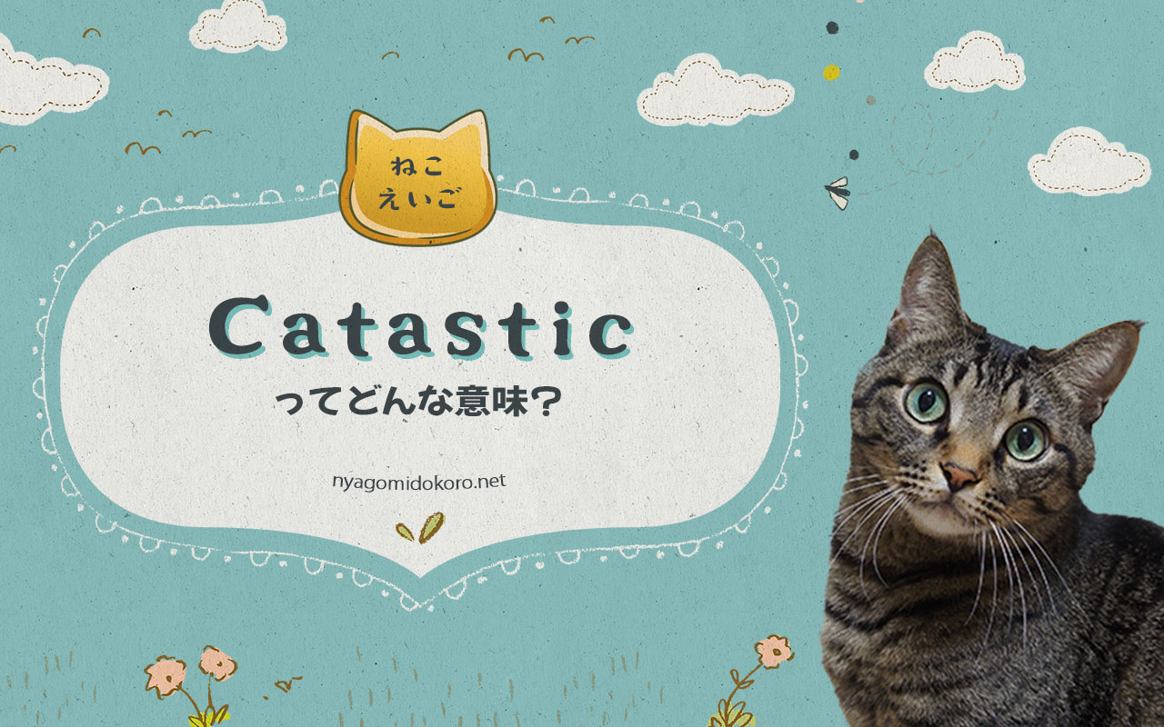 猫好きさん必見！SNSに使える【猫英語】おすすめフレーズ25選！ - 猫のおもちゃと猫グッズのお店 にゃごみ処